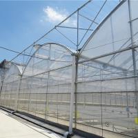 China Horticultural Plastic Film UV Resistant Large Poly Tunnel Multi-span Greenhouse for Vegetable for sale