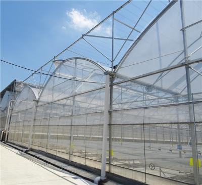 China Modern Farming Agricultural Poly Tunnel Plastic Film Tomato Greenhouses for sale