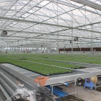 China Space Saving Easy Installation Commercial Greenhouse Wire Mesh Tables Greenhouse Rolling Bench for sale