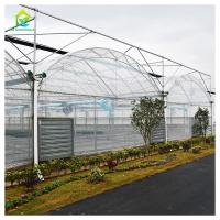 China Durable Poly Tunnel Agricultural Multi-span Plastic Film Greenhouse For Vegetables for sale