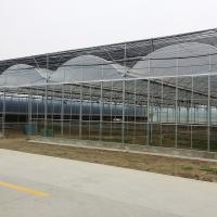 China Horticultural Plastic Film UV Resistant Large Poly Tunnel Multi-span Greenhouse for Vegetable for sale