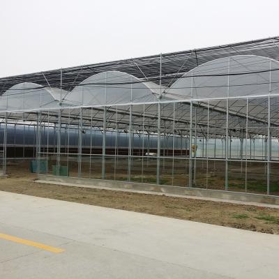 China Horticultural Plastic Film UV Resistant Large Poly Tunnel Multi-span Greenhouse for Vegetable for sale