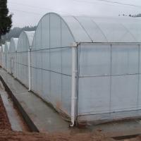 China Commercial Poly Tunnel Nursery Seeding Plastic Film UV Resistant Strawberry Hydroponic Greenhouse for sale