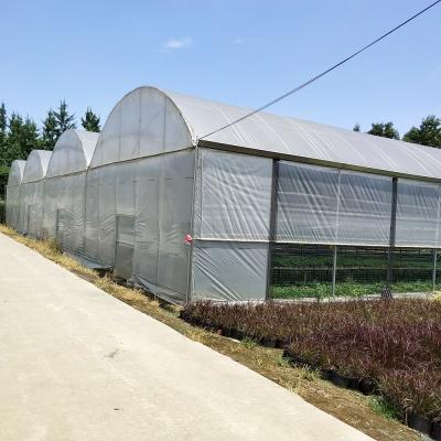 China Durable Multi-Span Polytunnel Greenhouse Heavy-Duty Steel Wind Snow Resistance Commercial Farms Nurseries for sale