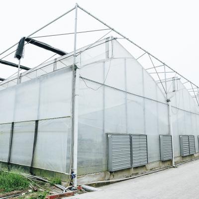 China Multi-Span Poly Tunnel Greenhouse with Sawtooth Roof for Natural Ventilation and Light Diffusion for sale