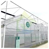China Multi-Span Poly Tunnel Greenhouse with Sawtooth Roof for Natural Ventilation and Light Diffusion for sale