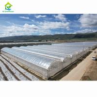 China Large-scale agricultural multi-span greenhouses | Professional greenhouse factory for bulk customization for sale