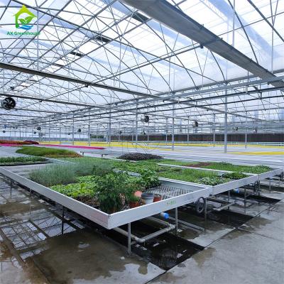 China Stable Rust-proof Metal Steel Rolling Table for Growing Flowers and Plants for sale