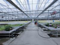 China Stable Rust-proof Metal Steel Rolling Table for Growing Flowers and Plants for sale
