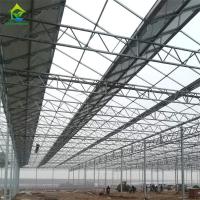China Modern intelligent Venlo polycarbonate panel multi-span solar photovoltaic greenhouse for sale
