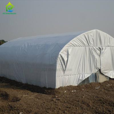 China Single-span film blackout Light Deprivation greenhouse for growing mushrooms for sale