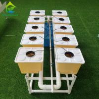 China Soilless Cultivation Hydroponics Bato Pot Dutch Bucket Planting Set for sale