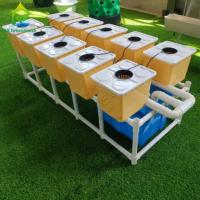 China Soilless Cultivation Hydroponics Bato Pot Dutch Bucket Planting Set for sale