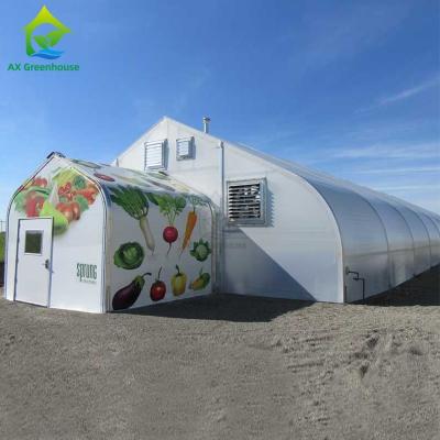 China Single-span Tunnel TFS Curved Top PC Light Deprivation Greenhouse with Custom Logo for sale