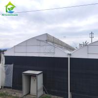 China Multi-Span Light Deprivation Greenhouse with Hot-Dip Galvanized Steel Frame and Blackout Sidewall System in Customizable Dimensions for sale