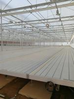 China 0.71-1.78m Width Greenhouse Rolling Benches Ebb And Flow Hydroponic Flood Table for sale