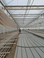 China 0.71-1.78m Width Greenhouse Rolling Benches Ebb And Flow Hydroponic Flood Table for sale