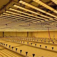 China 0.71-1.78m Width Greenhouse Rolling Benches Ebb And Flow Hydroponic Flood Table for sale