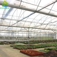 China Multispan 4 Season Plastic Film Insect Net Greenhouse For Cucumbers for sale