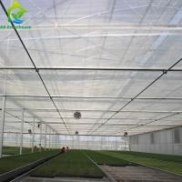 China Multispan 4 Season Plastic Film Insect Net Greenhouse For Cucumbers for sale