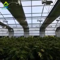 China Multispan 28m-50m Length Light Deprivation Greenhouse With Blackout System for sale