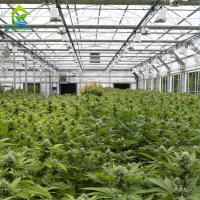China Hemp Cultivation Light Deprivation Greenhouse for sale