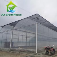 China 6m 8m 9m Span Clear Plastic Film Greenhouse Vegetable Farming for sale