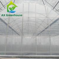China 6m 8m 9m Span Clear Plastic Film Greenhouse Vegetable Farming for sale