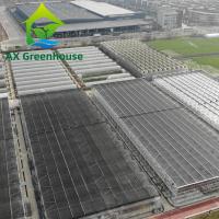 China 6m 8m 9m Span Clear Plastic Film Greenhouse Vegetable Farming for sale