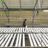 China Insecticide Sprayer Irrigation Fertilization System 220V 50HZ Automatic Fertilizer System for sale