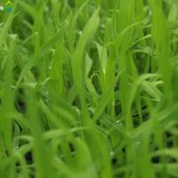China Greenhouse Irrigation Fertilizer Machine 1KW Auto Fertilizer System for sale