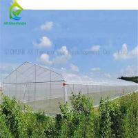 China Hydroponic Tropical Area Polytunnel Greenhouse With Climate Control for sale