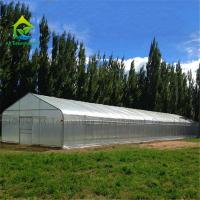China Hydroponic Tropical Area Polytunnel Greenhouse With Climate Control for sale