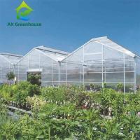 China Commercial Venlo Polycarbonate PC Sheet Greenhouse Multi Span Drying House For Flowers for sale