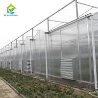 China Snow Resistant Agriculture Polycarbonate Aluminum Frame PC Sheet Greenhouse For Strawberry for sale