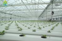 China 1m-30m Soilless Garden Hydroponic System White PVC Channel NFT Hydro System for sale