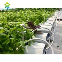 China Soilless Cultivation Vertical Hydroponic Growing System OEM ODM for sale