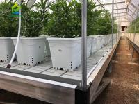 China Soilless Cultivation Vertical Hydroponic Growing System OEM ODM for sale