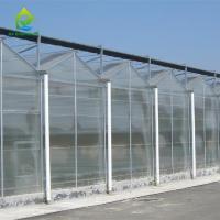 China Venlo Commercial Polycarbonate PC Sheet Agricultural Large Tunnel Greenhouse for sale