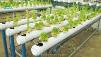 China Greenhouse Vertical Soilless Hydroponic System Hydroponic Growing Equipment for sale