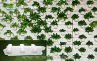 China Customized Indoor Vertical Soilless Hydroponic System For Cucumber for sale