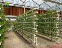 China Automatic Pipe Soilless Cultivation Equipment Generous Tube Hydroponic Tomato Planter for sale