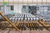 China Automatic Pipe Soilless Cultivation Equipment Generous Tube Hydroponic Tomato Planter for sale