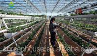 China Sided Ladder PVC Soilless Hydroponic System Automatic Vertical Farming System for sale