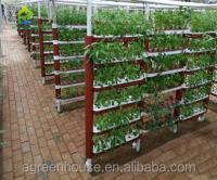 China Sided Ladder PVC Soilless Hydroponic System Automatic Vertical Farming System for sale