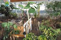 China Sided Ladder PVC Soilless Hydroponic System Automatic Vertical Farming System for sale