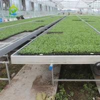 China 30*60mm Steel Mesh Commercial Greenhouse Tables Seedbed Nursery Rolling Benches for sale