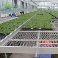 China Seedbed Plant Nursery Equipment Movable Mesh Grow Table Vegetable Planting for sale