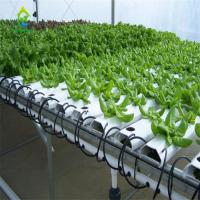 China Strawberry NFT Hydroponics System Soilless Growing PVC Pipe / Channel For Lettuce for sale