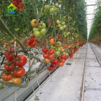 China Lettuce Soilless Cultivation Equipment for sale